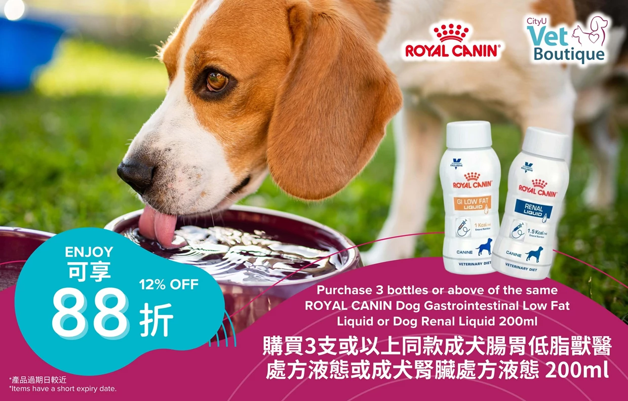 CityU Vet Boutique | Veterinarian Recommended