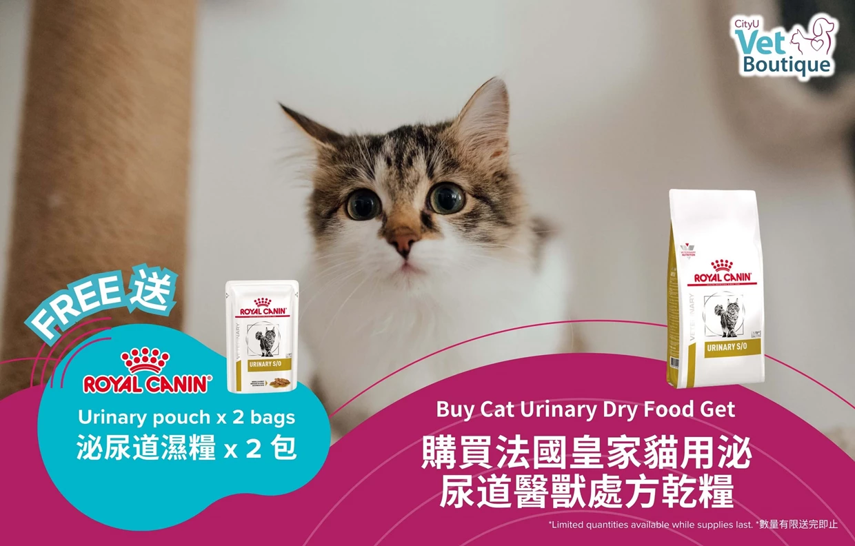 CityU Vet Boutique | Veterinarian Recommended