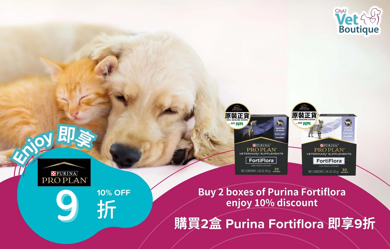 CityU Vet Boutique | Veterinarian Recommended