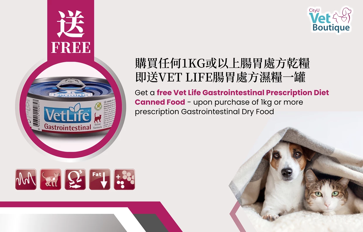 CityU Vet Boutique | Veterinarian Recommended
