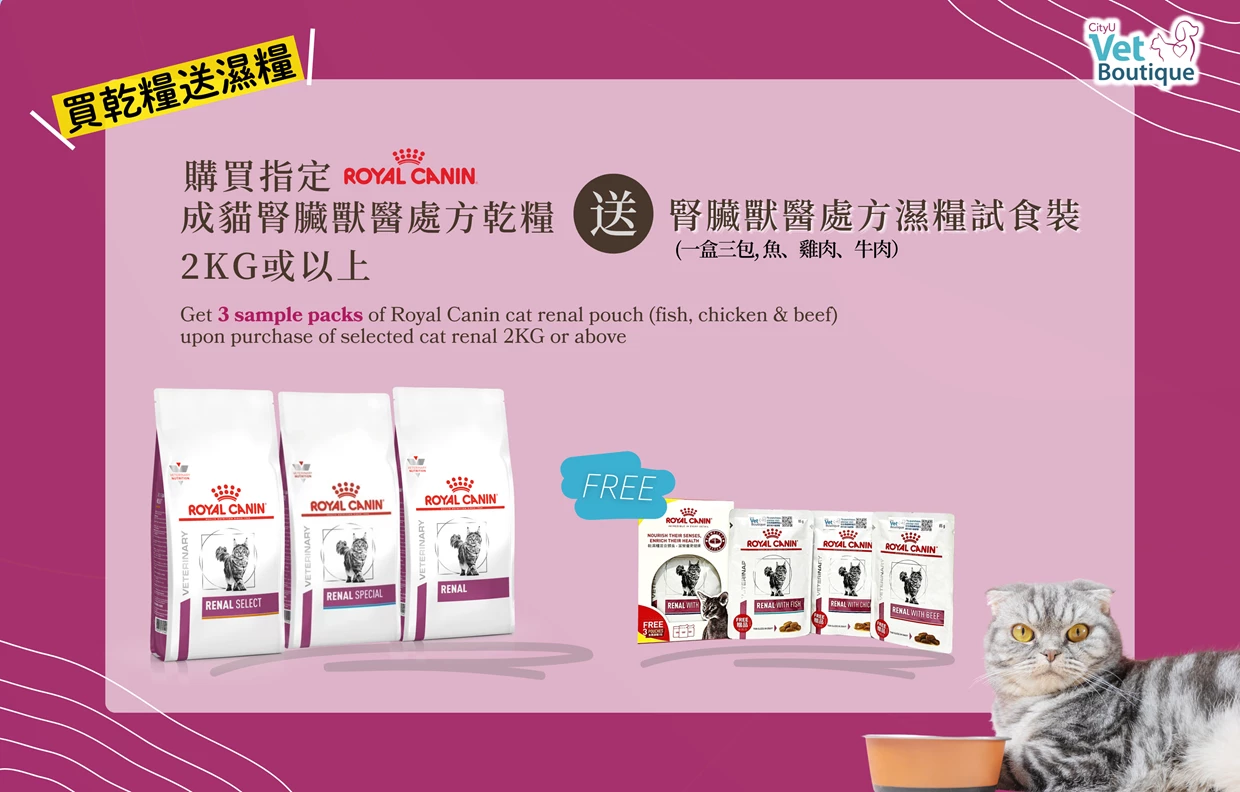 CityU Vet Boutique | Veterinarian Recommended