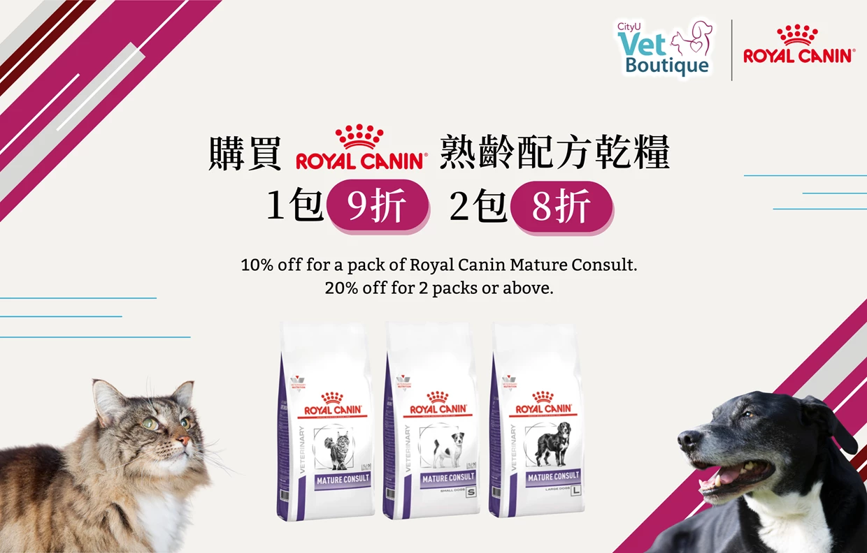 CityU Vet Boutique | Veterinarian Recommended
