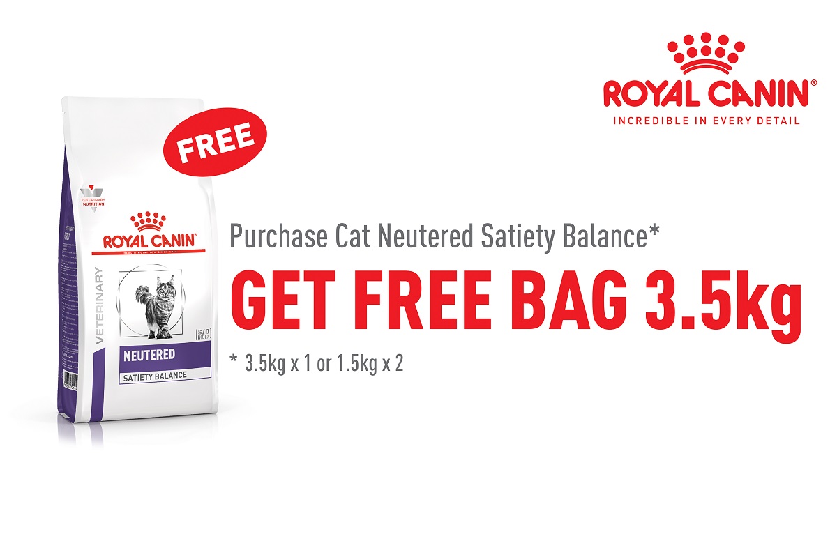 Promotion - CityU Vet Boutique | Veterinarian Recommended